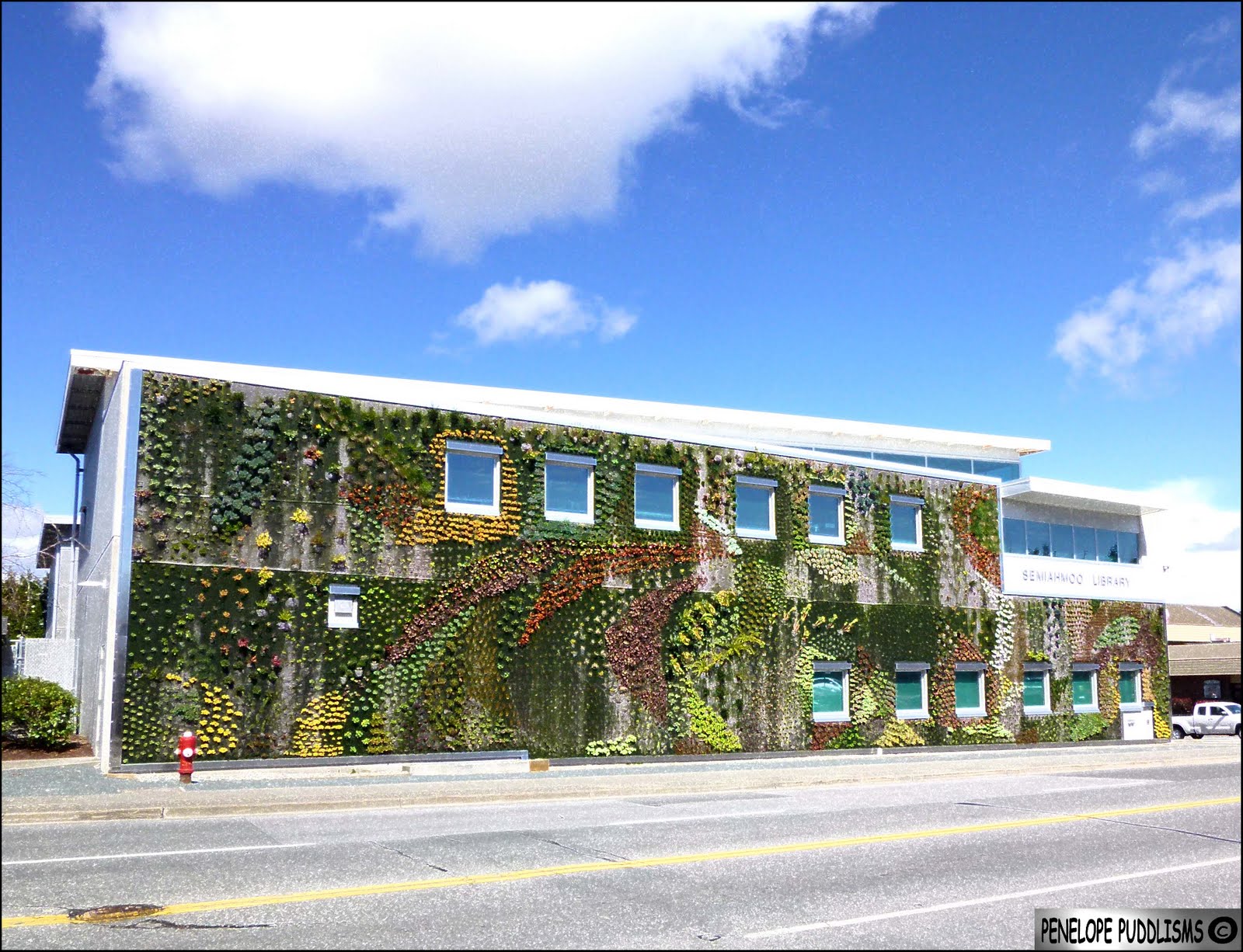 Musings of A Puddlist In B.C.: Clingy Wall Garden At Semiahmoo Library