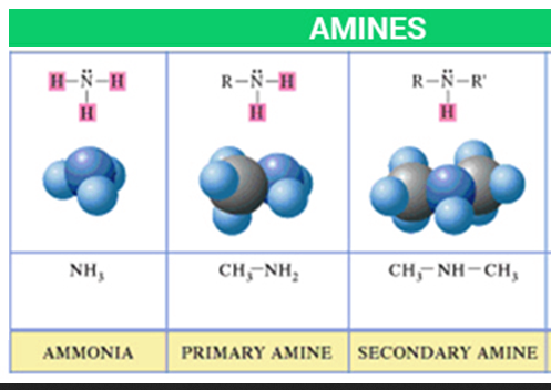 Z84 - Math and Books: Math 77 - amines and branched chain ..hydrocarbon ...