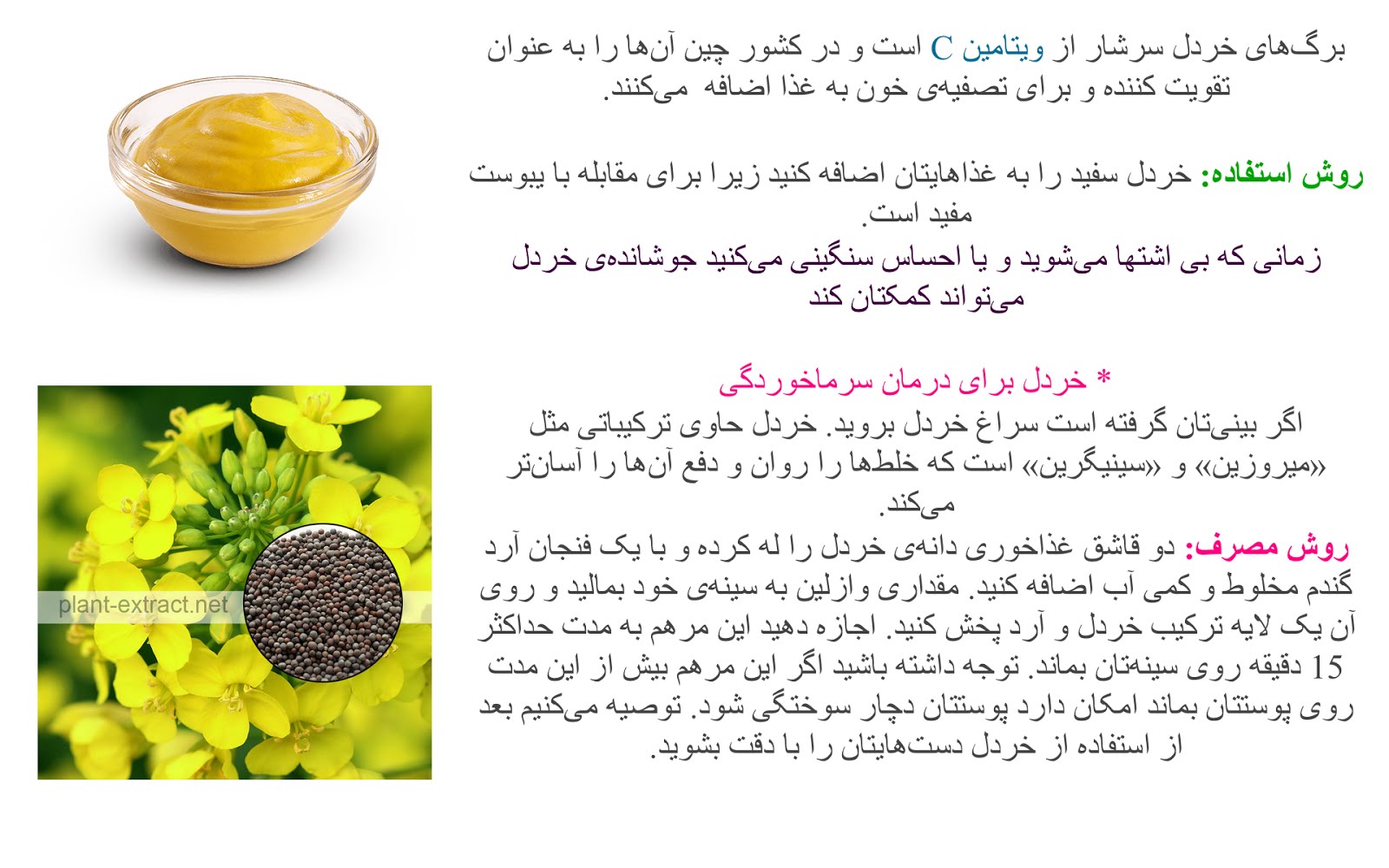 Pezeshke Bartar پزشک برتر: Health benefit of Mustard