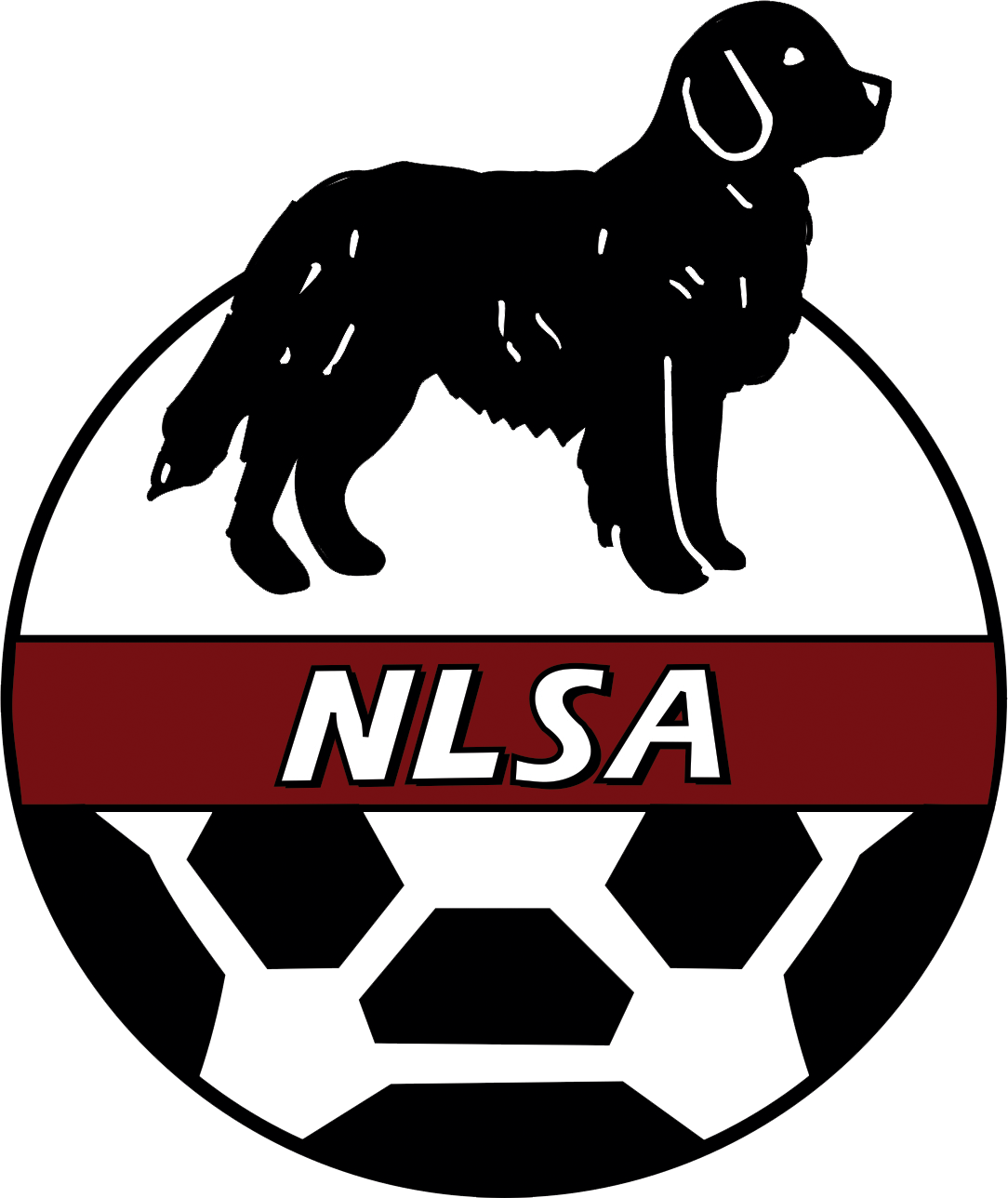Gord Dunphy's Soccer Blog: NLSA Releases New Logo