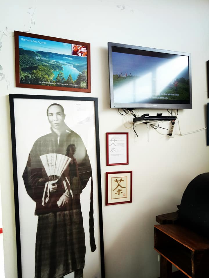 Solitary Wayfaring: Azores - Europe's best Island Getaway? Driving and ...