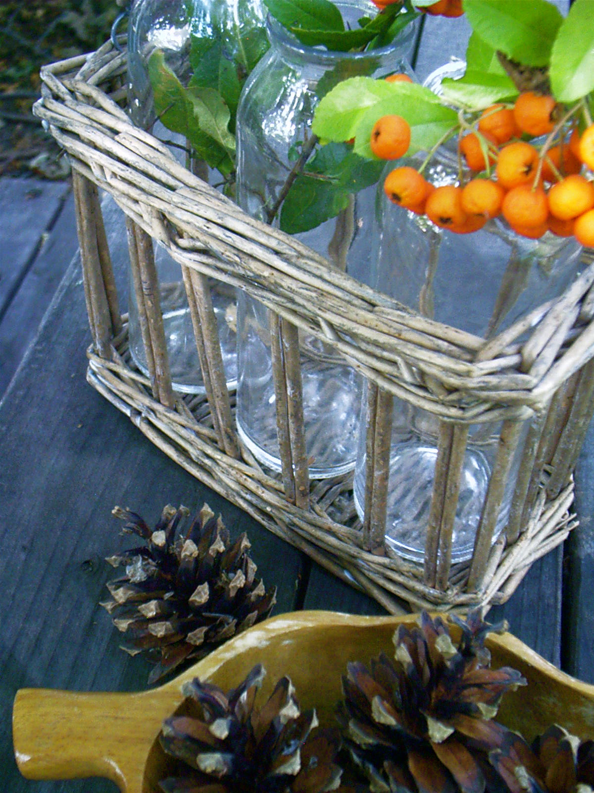 Ash Tree Cottage: Really, Really, Longing For Fall