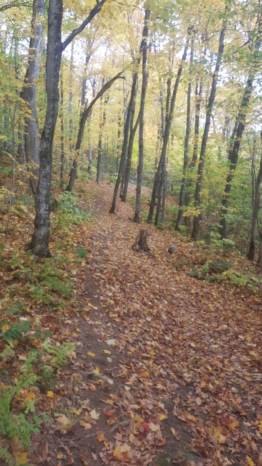 Les montagnes au Québec: Mont Saint-Joseph / Mont Victoria / Mont Mégantic