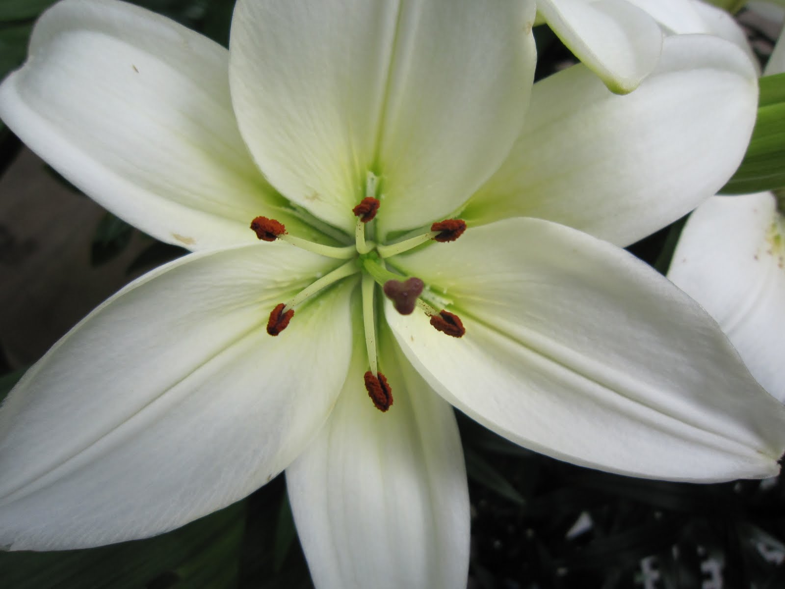 Keeping Up With The Jensens: Details