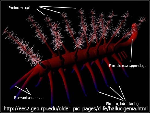 Bizarre Creature of the Day: Creature 23: Hallucigenia