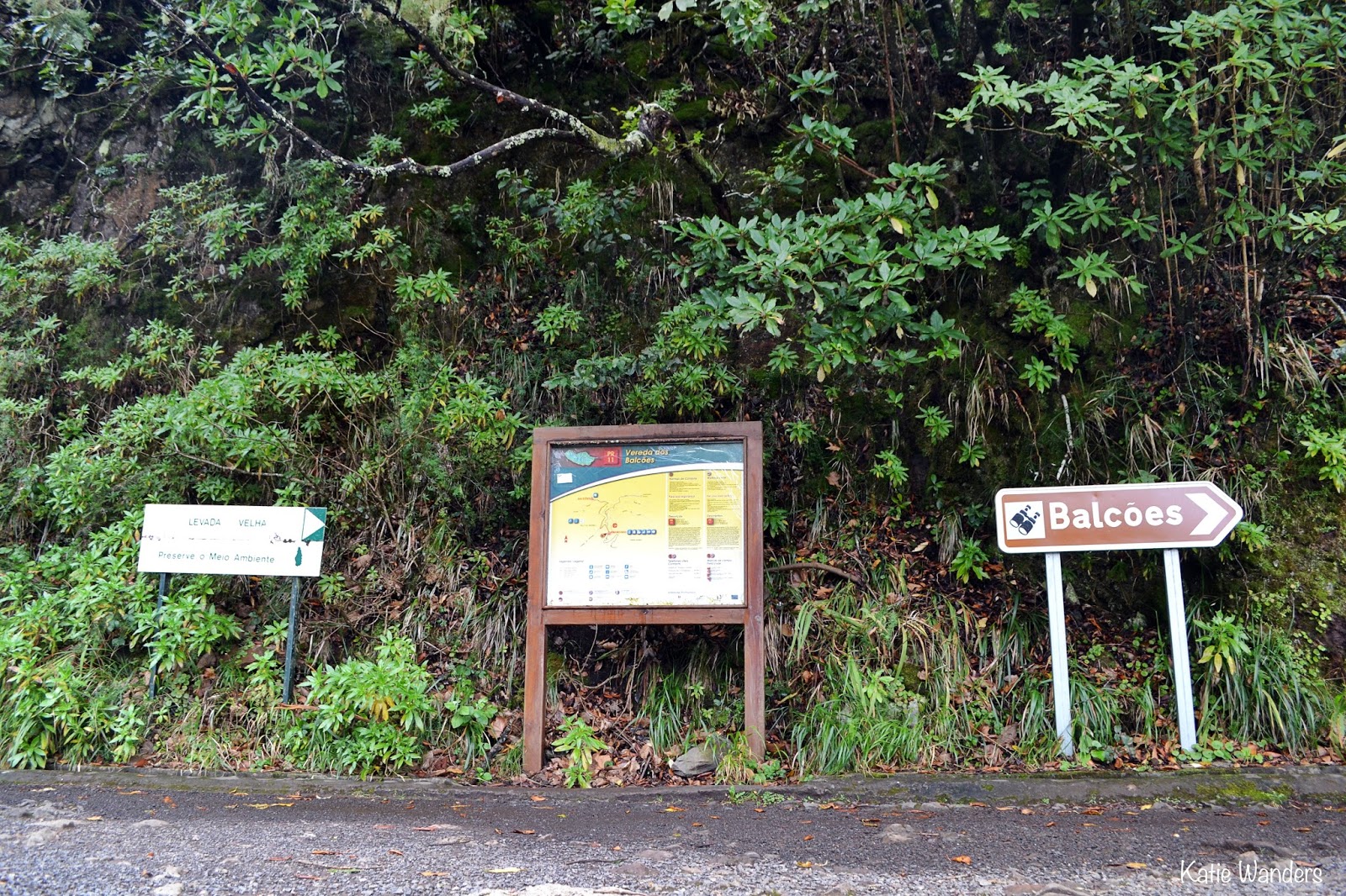 Katie Wanders : Ribeiro Frio Trout Farm - Madeira Island