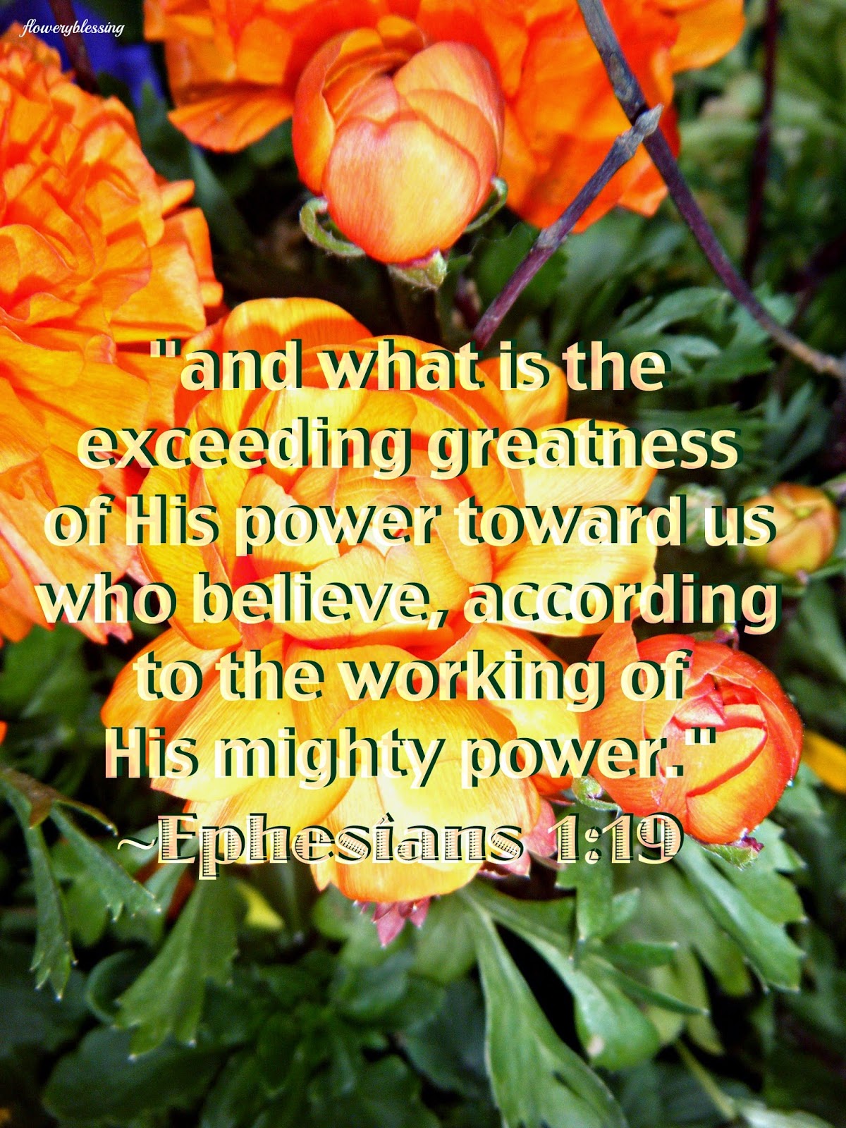 Flowery Blessing: "and what is the exceeding greatness of His power ...