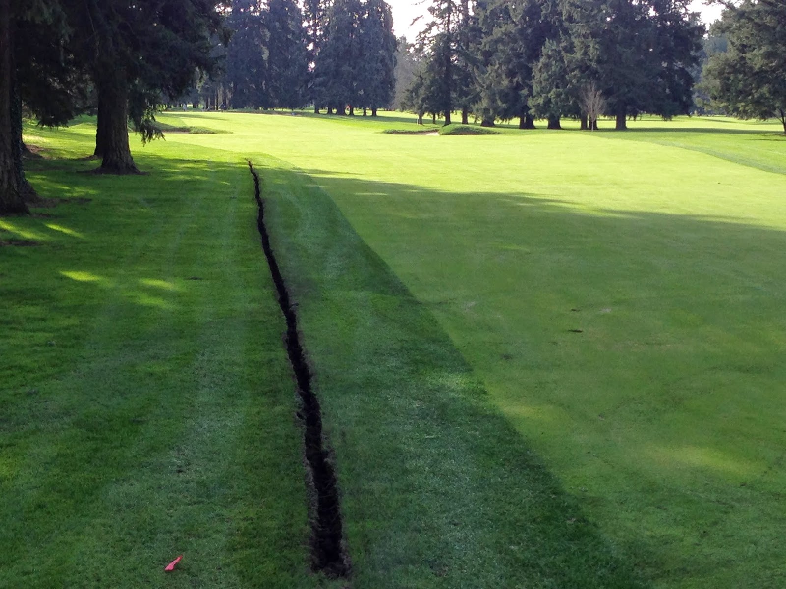 TacomaTurf: Root Pruning