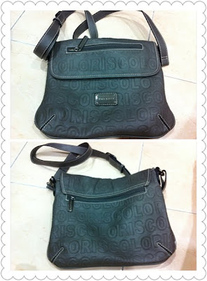 definitely LOVE to have it!!!: COLORIS Bag