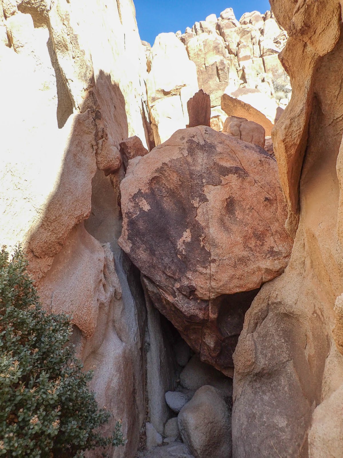 Dyadic Point & Tensor (aka Aqua BM) Joshua Tree - First Church of The ...