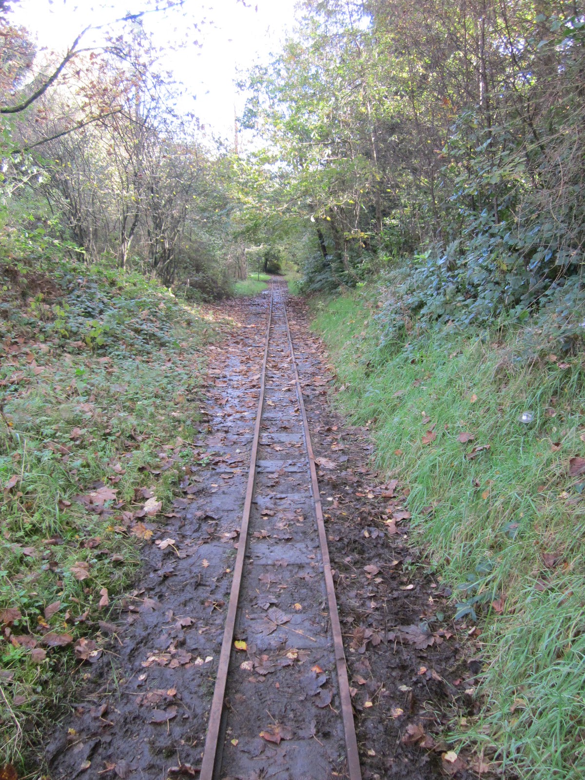 Narrow Gauge Railways UK: Haigh Hall Miniature Railway
