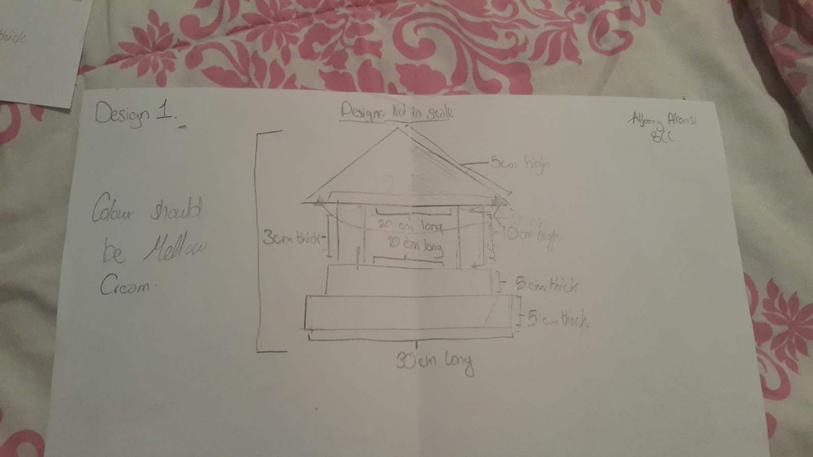 Grade 8C Digital Design Class: November 2015