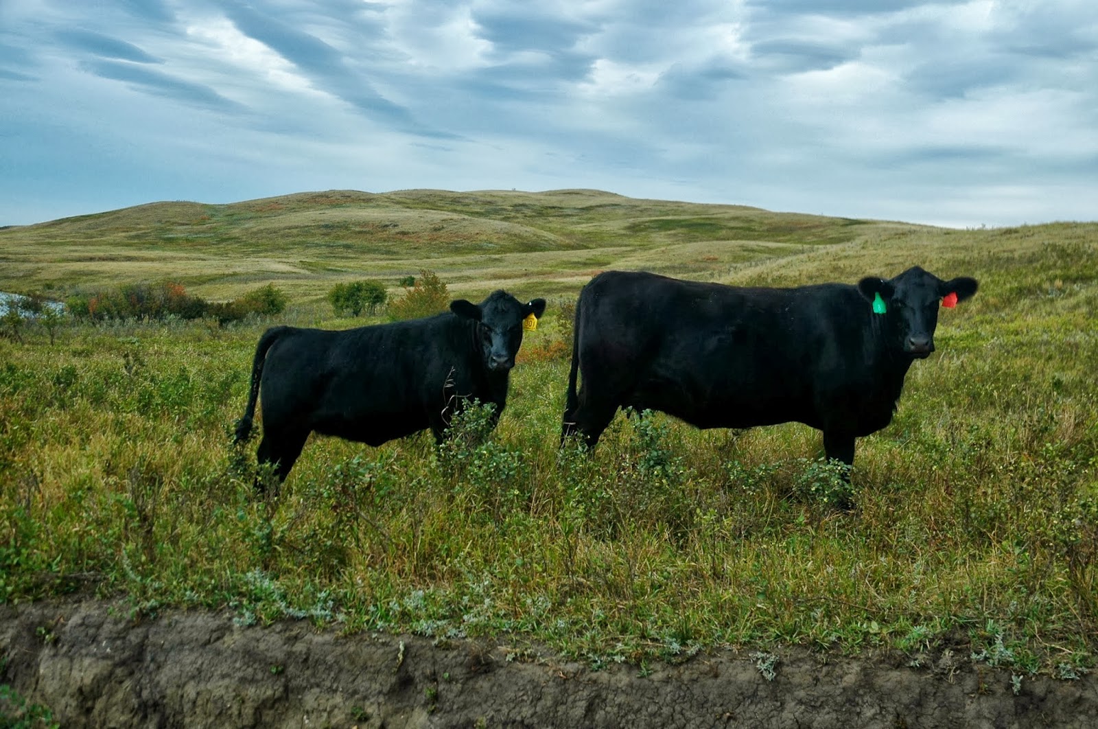 The Barn Hunter: September 2013