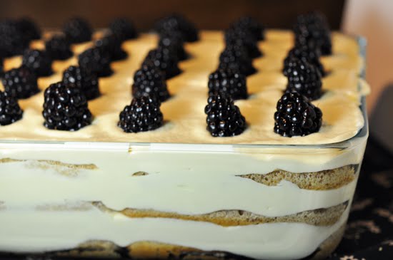 Classic Tiramisu, with Blackberries Recipe | RecipeStudio