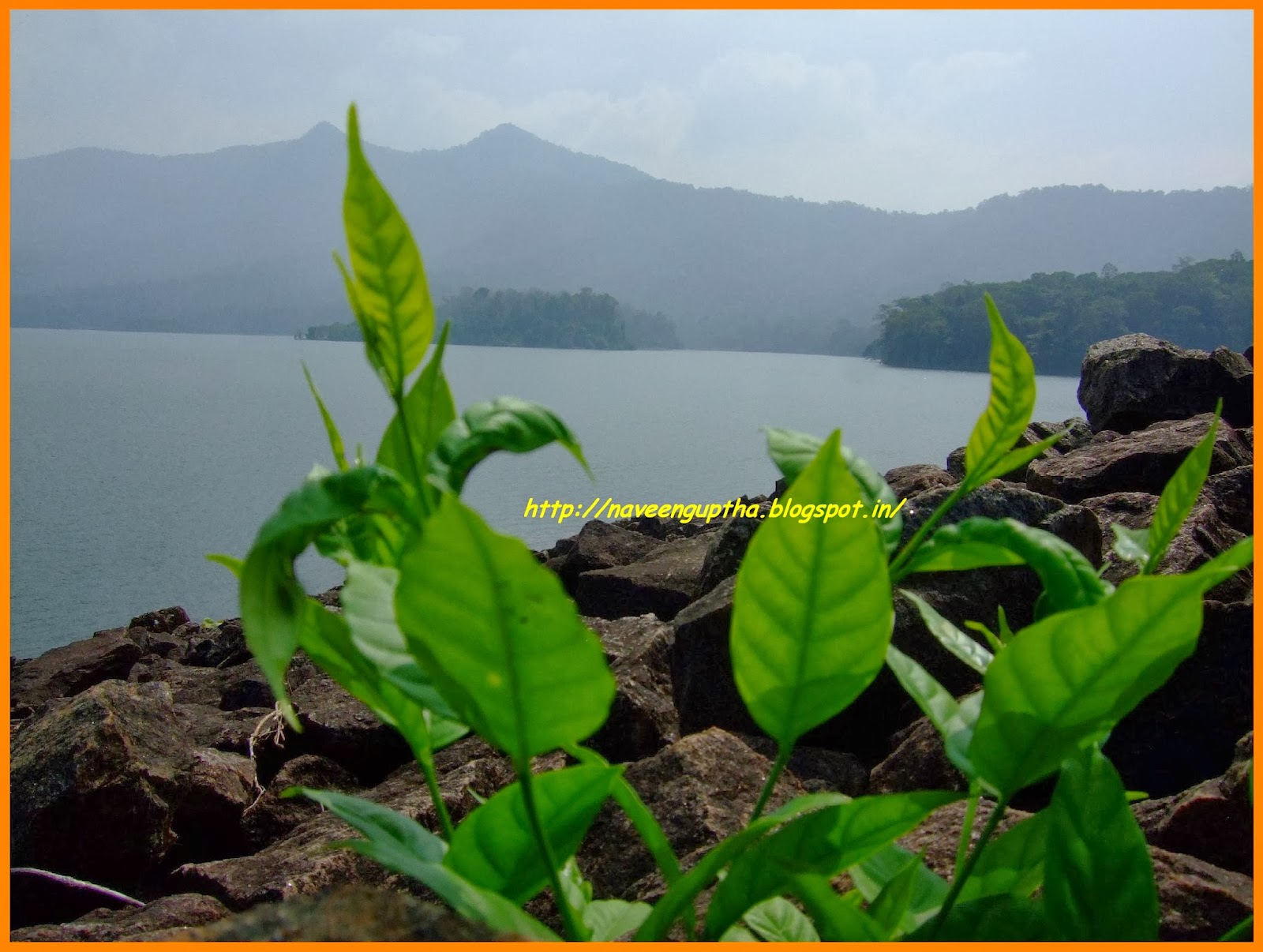 Exploring South India - Travel blog.....: Chimmony (or Chimmini ...