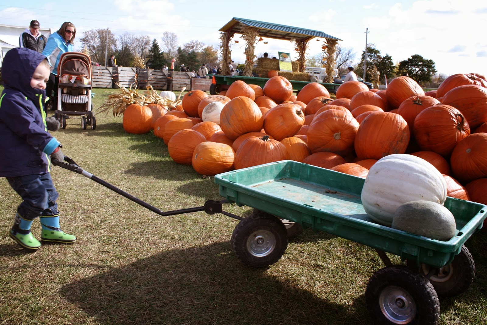 Of Petals and Wool: HAPPY HALLOWEEN EVERYONE