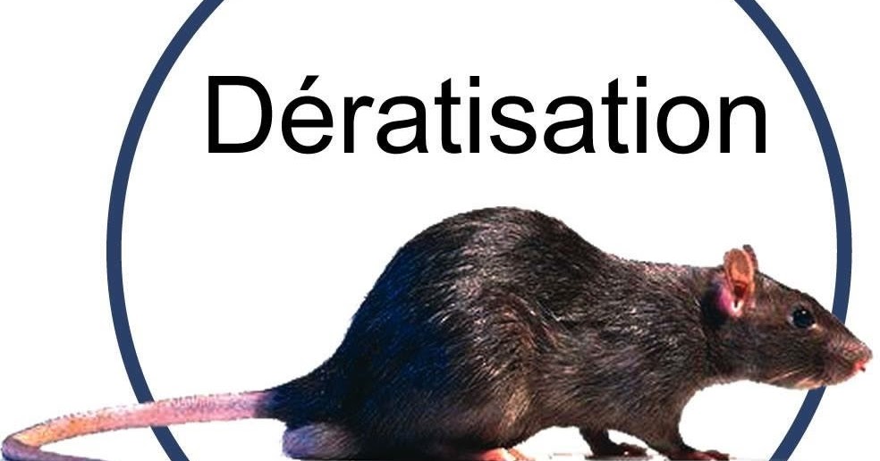 Commune de Dalhem: Dératisation