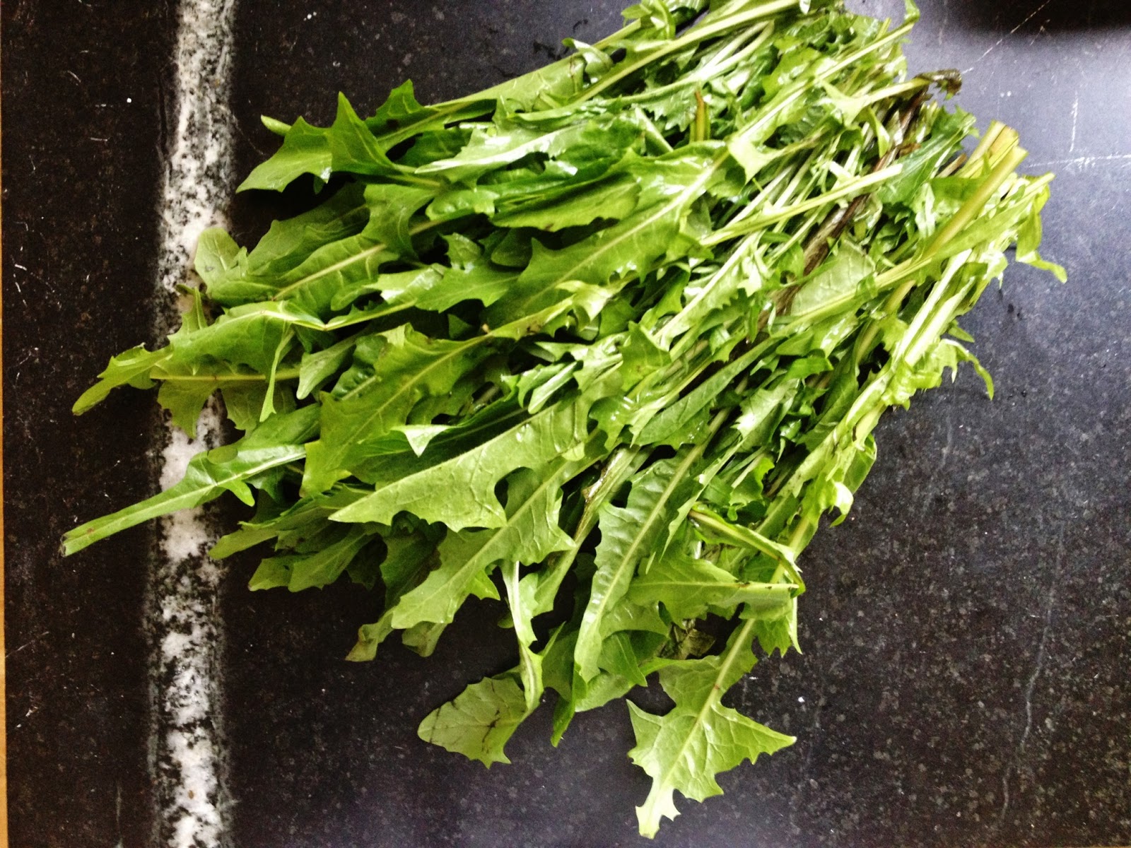 The Dandelion- Beauty, Love & Health | Lauren Liess