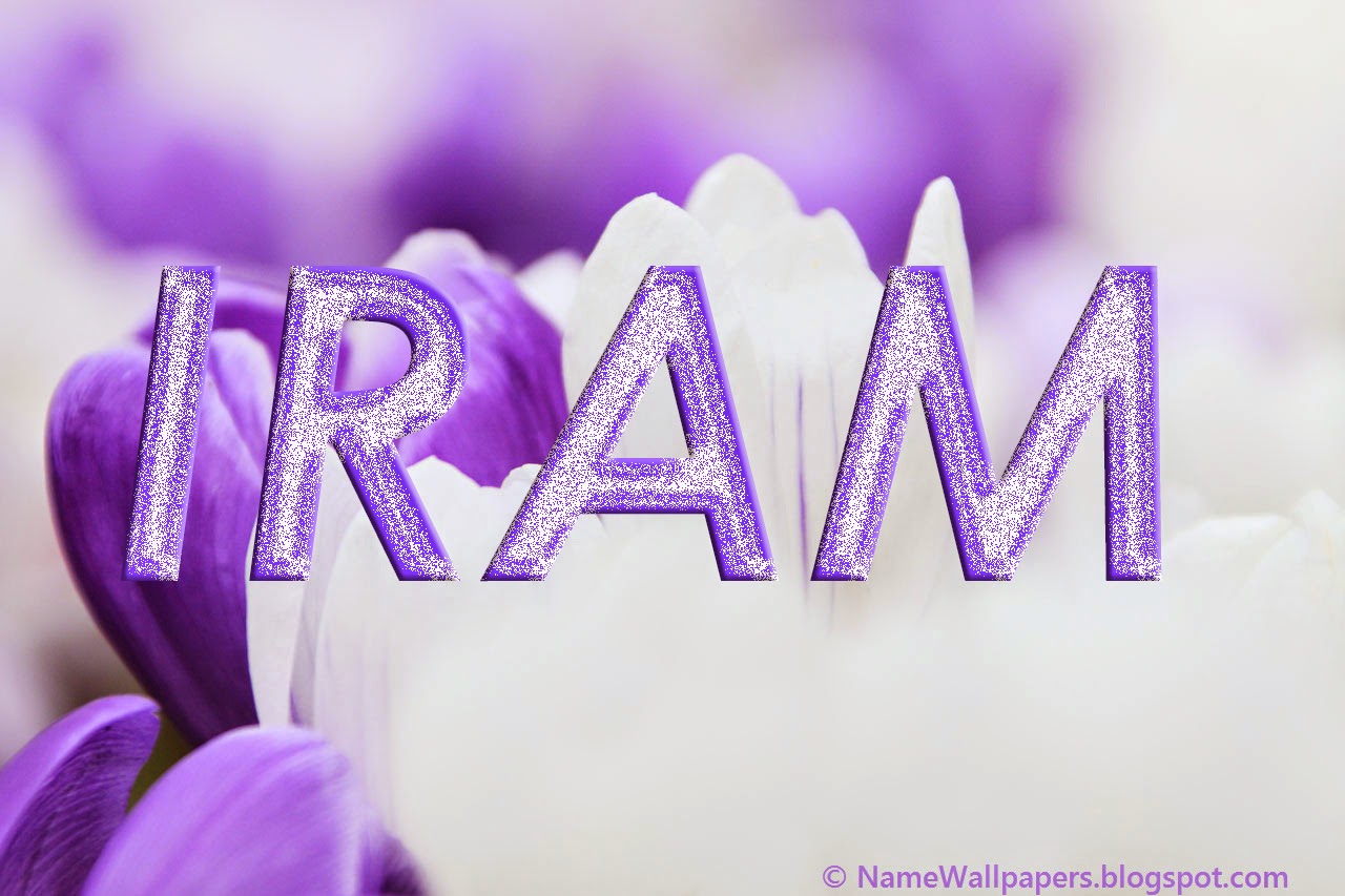 Iram Name Wallpapers Iram Name Wallpaper Urdu Name Meaning Name iram-name-wallpapers-iram-name-wallpaper-urdu-name-meaning-name