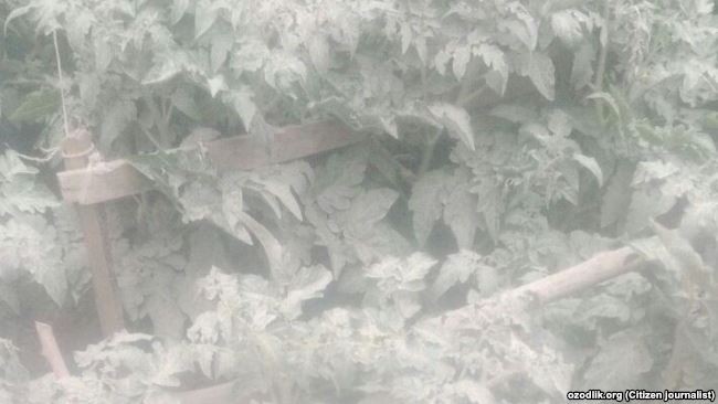 Dust, Sand and Salt Storms: It's Raining Salt in Central Asia