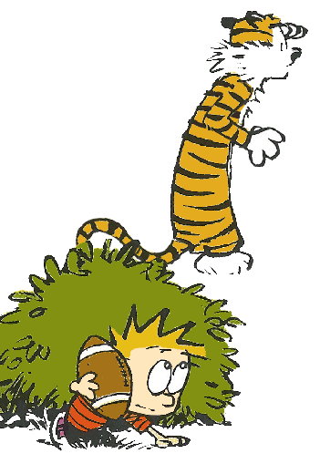 GIFS ANIMADOS DE CALVIN AND HOBBES
