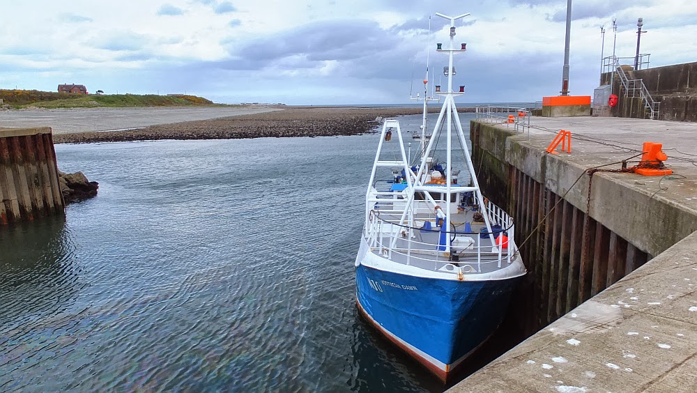 Irish Wildscapes: Around Kilkeel Harbour