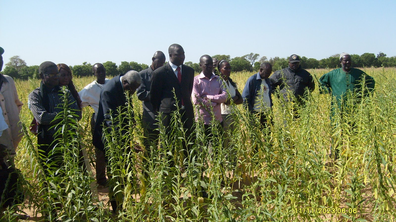 INFORMATION ET VALORISATION DES ACQUIS DE LA RECHERCHE: LE SESAME, UNE ...