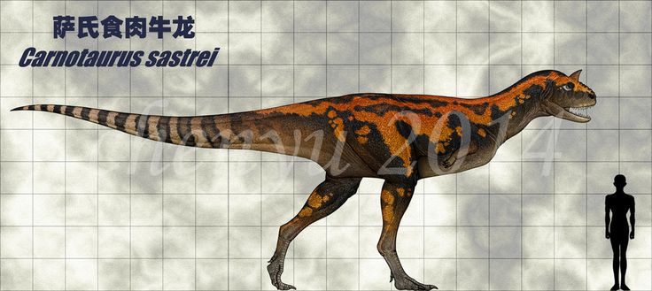 Escenarios prehistóricos: Carnotaurus