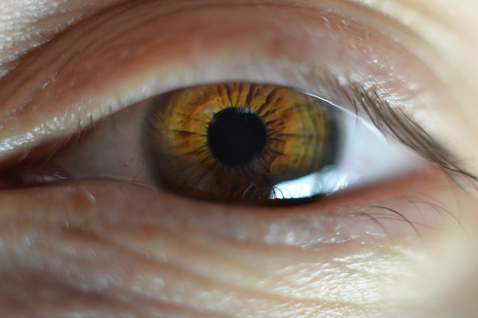 Ela Kobryń : Przez Twe oczy zielone....