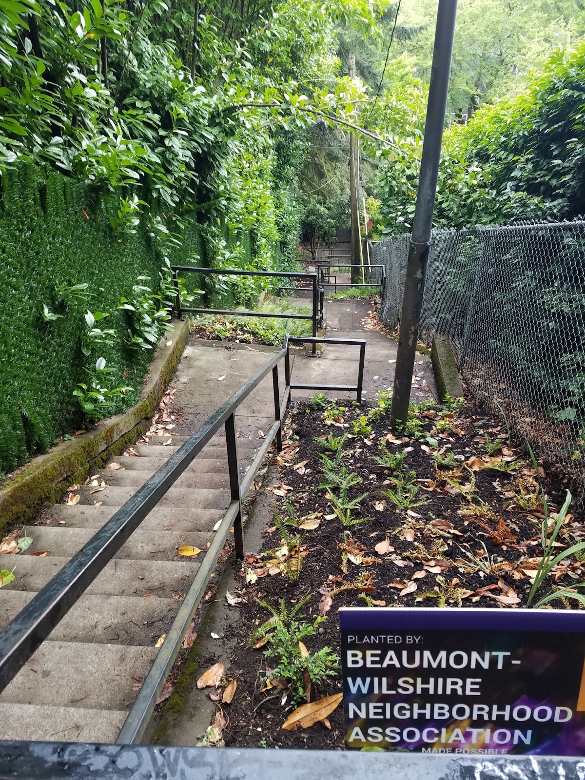 Dave Goes Outside: Portland Stairs Quest 5: Alameda Ridge