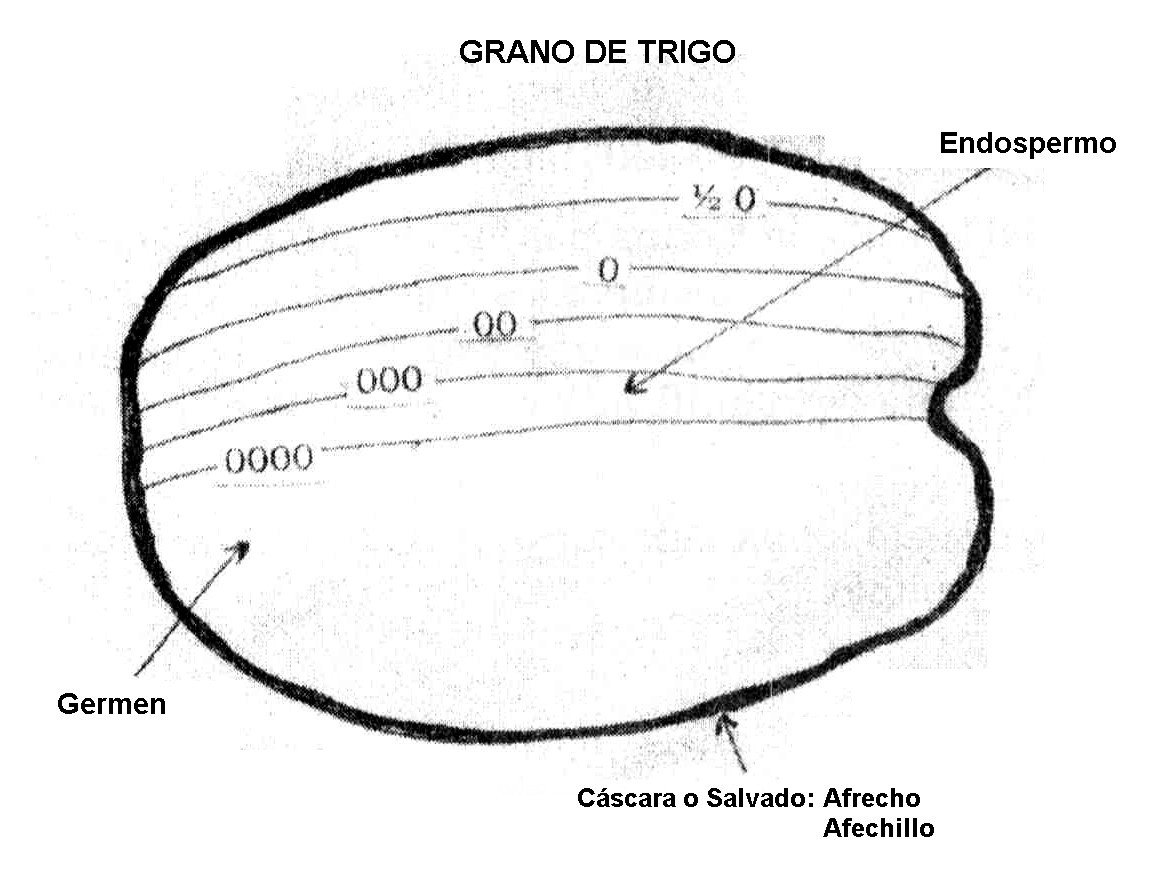 La Cultura gastronómica: Panadería (Parte 1/6) - Calidad, tipificación ...
