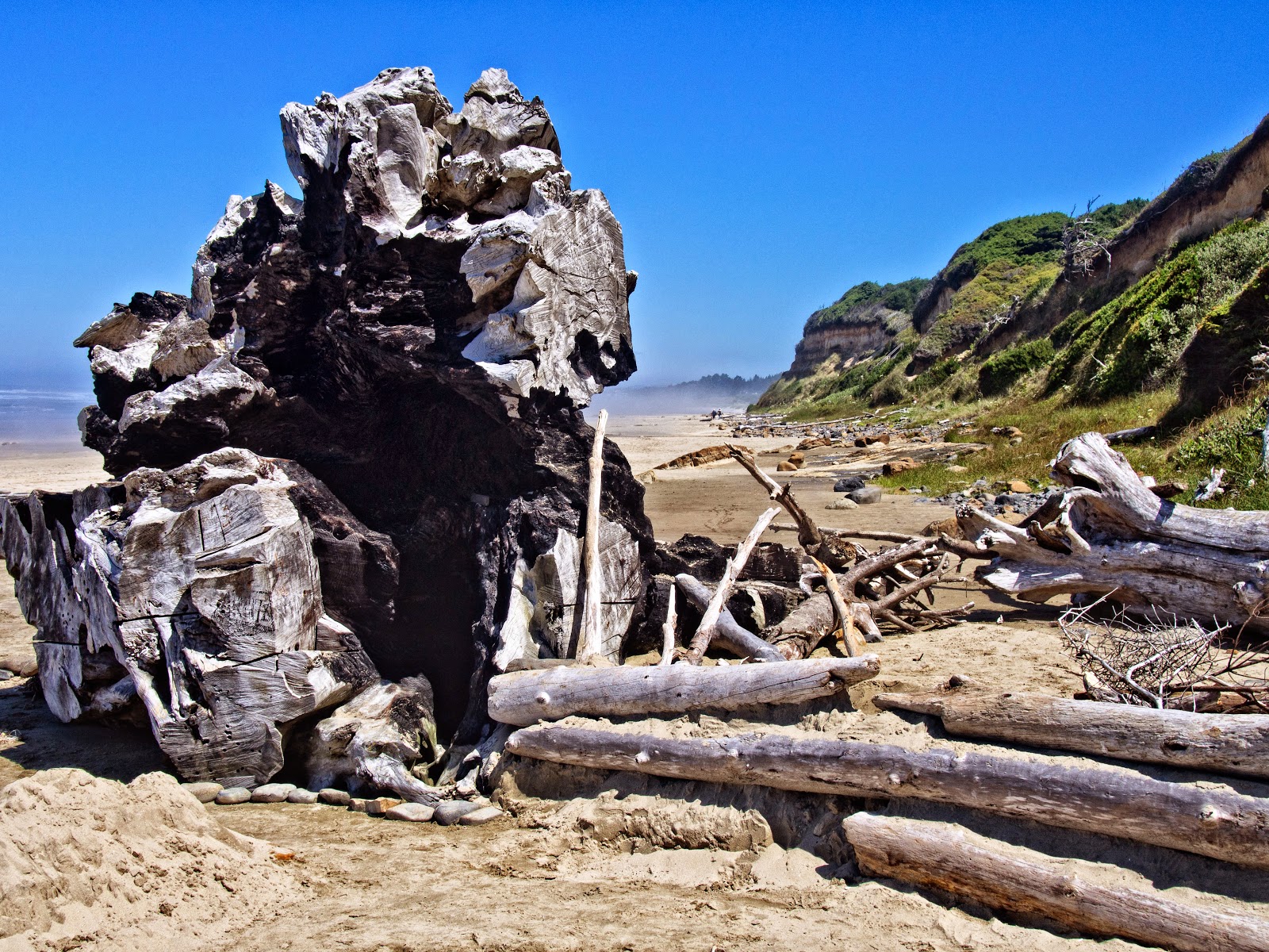 Thom Zehrfeld Photography : Brian Booth State Park | Ona Beach