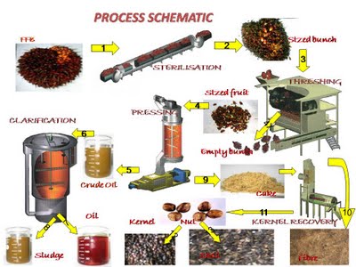 Sawit Industry: Process Schematic at Palm Oil Mill Factory