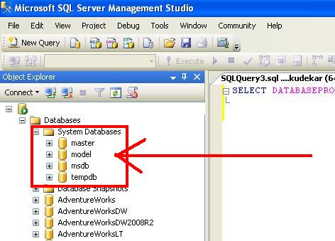 Suhas R. Kudekar: System Database in SQL Server 2005.