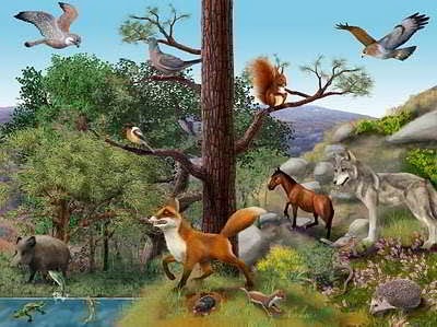 CÁTEDRA DE BIOLOGÍA: EL MEDIO AMBIENTE Y LA RELACIÓN CON LOS SERES VIVOS