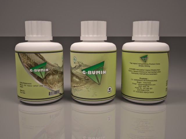 Ingin fokus di SRIBU.COM | Belajar desain grafis