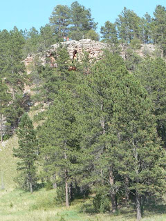 The Lemonade Digest Blog: Cottonwood Reservoir and Cold Brook Reservoir ...