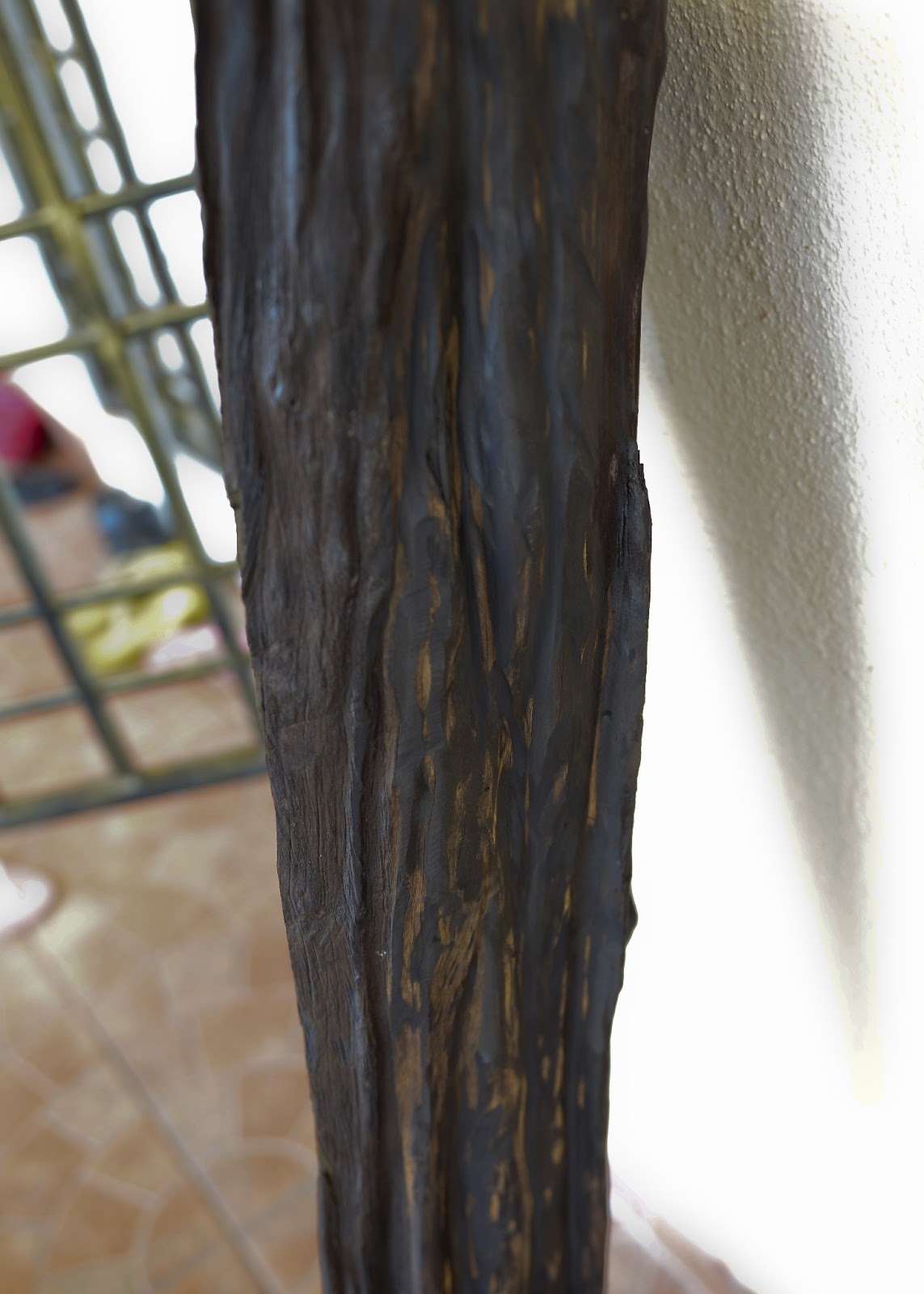 Kayu Warisan Malaysia: Kayu teras kemuning hitam / murraya paniculata