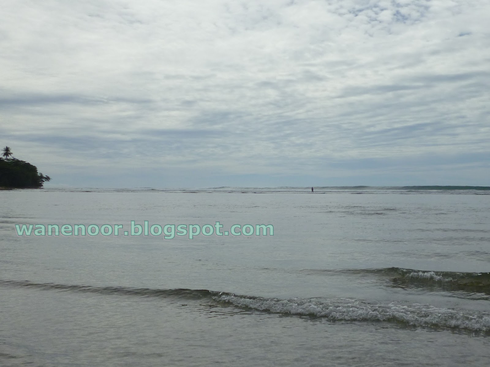 Tanjung Setia Beach Nice Trips As Survei Area For Field Study