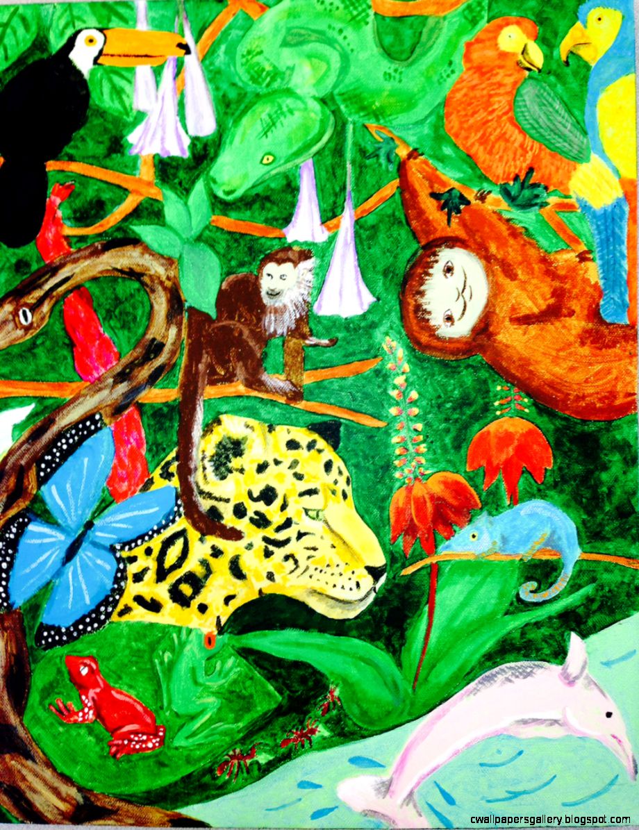 Amazon Rainforest Animals Collage | Wallpapers Gallery