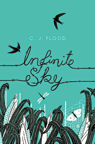 Infinite Sky - C.J. Flood — Alexa Loves Books