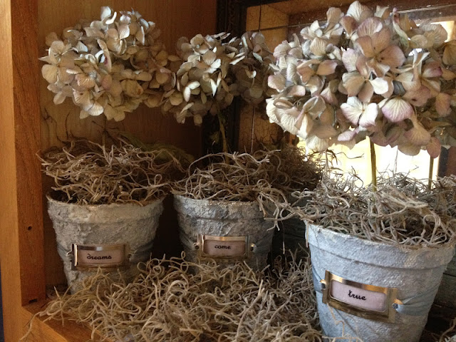 .16lstreet: Peat Pots