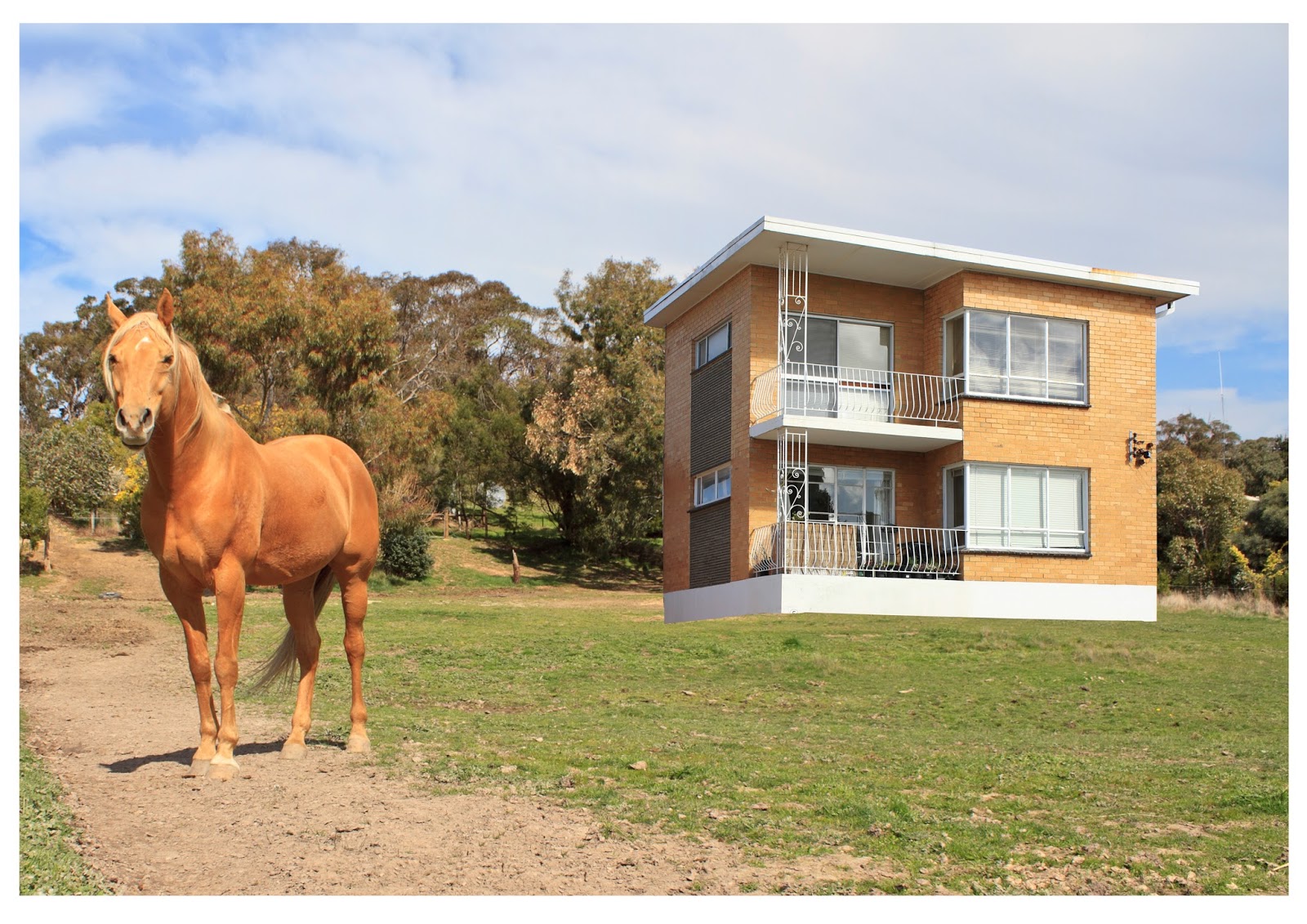 Synergy Gallery is a community, contemporary art space.