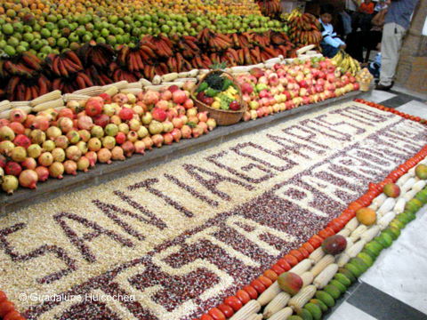 Feria De La Fruta Tecozautla Hidalgo