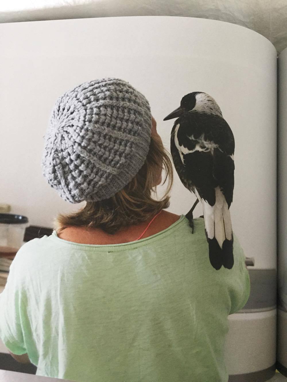 Wunderbare Geschichten: Rezension " Penguin Bloom " von Cameron Bloom ...