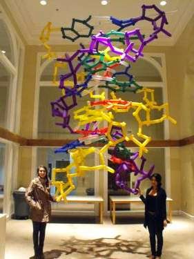 Balloons Booth: DNA helix made out of balloons