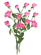 Gifs, Mensagens e Imagens: Gifs de Rosas