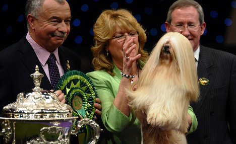 standby life: 国際ドッグショー「クラフツ（Crufts）」 イン・バーミンガム Most Prestigious Dog ...