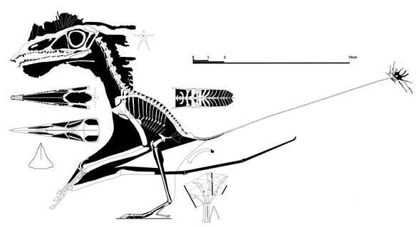 Escenarios prehistóricos: Austriadactylus