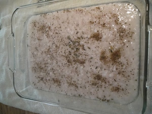 Tropic Home and Family: Project: Make seed paper for a plantable ...